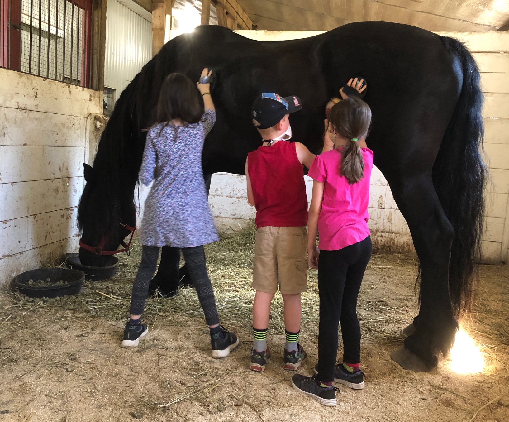 MBC Online Reservation